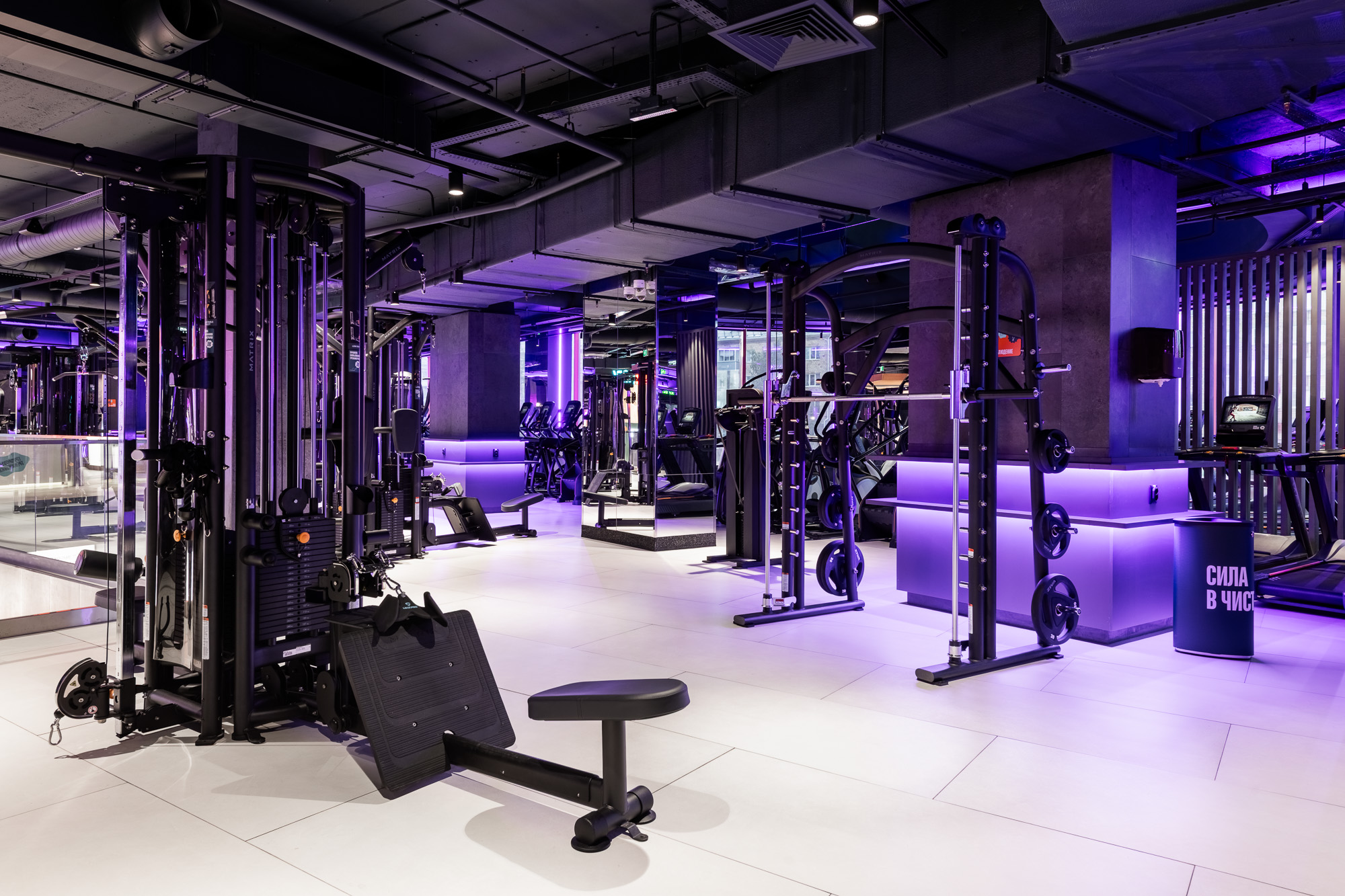 Фитнес-клуб DDX Красноярск Саяны — абонементы от 1700 руб! Тренажерный зал, групповые занятия ...